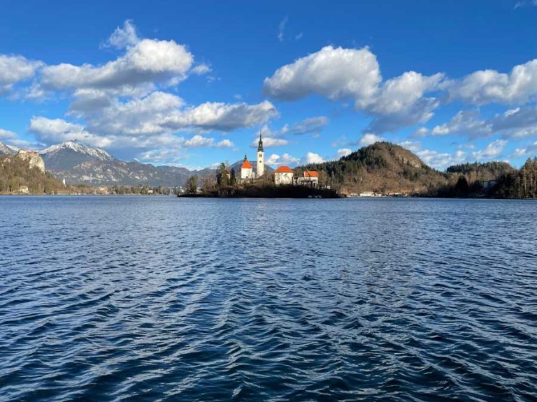 Srce in ledvice 2023 – Edumedic